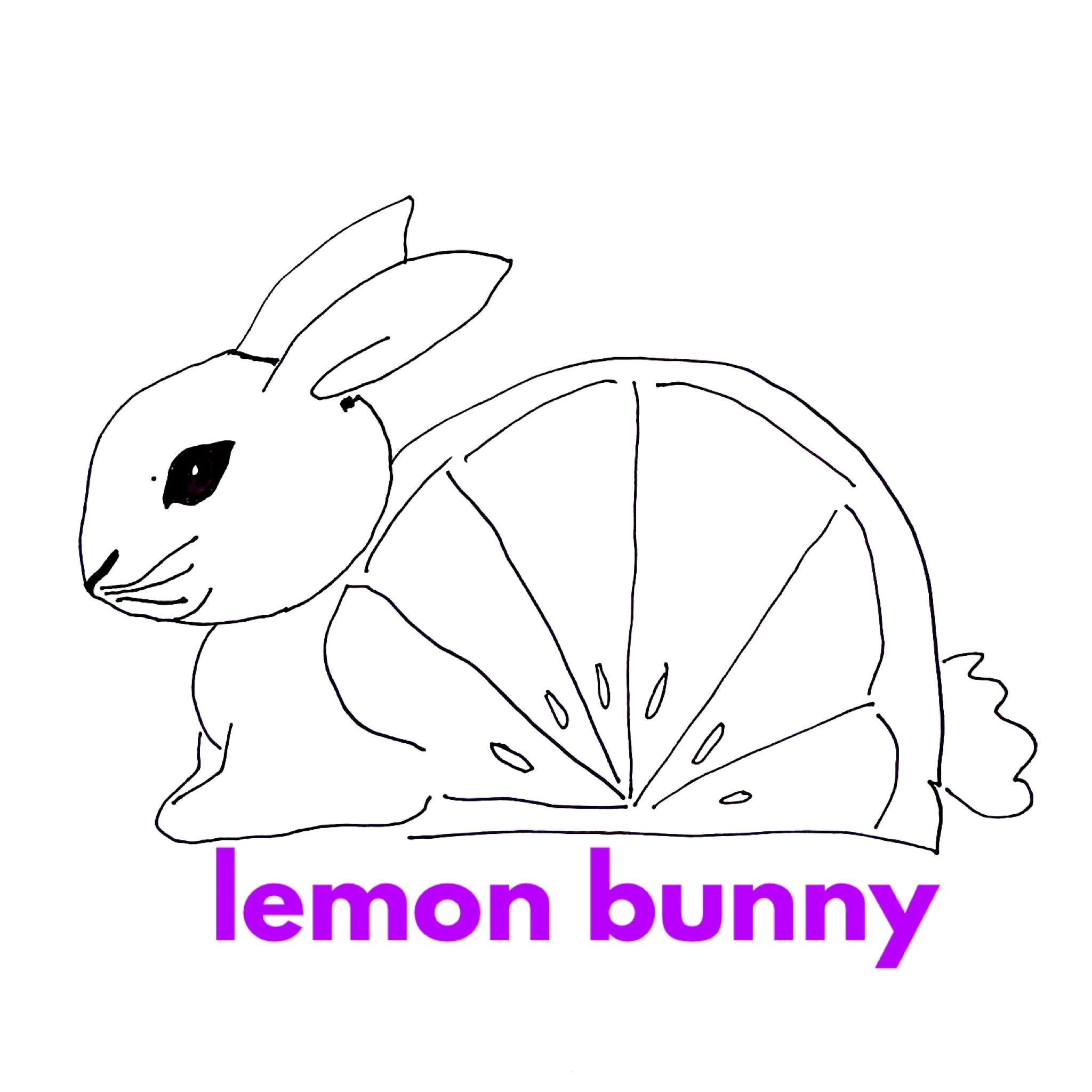 Roller Rabbit Collection – lemon bunny
