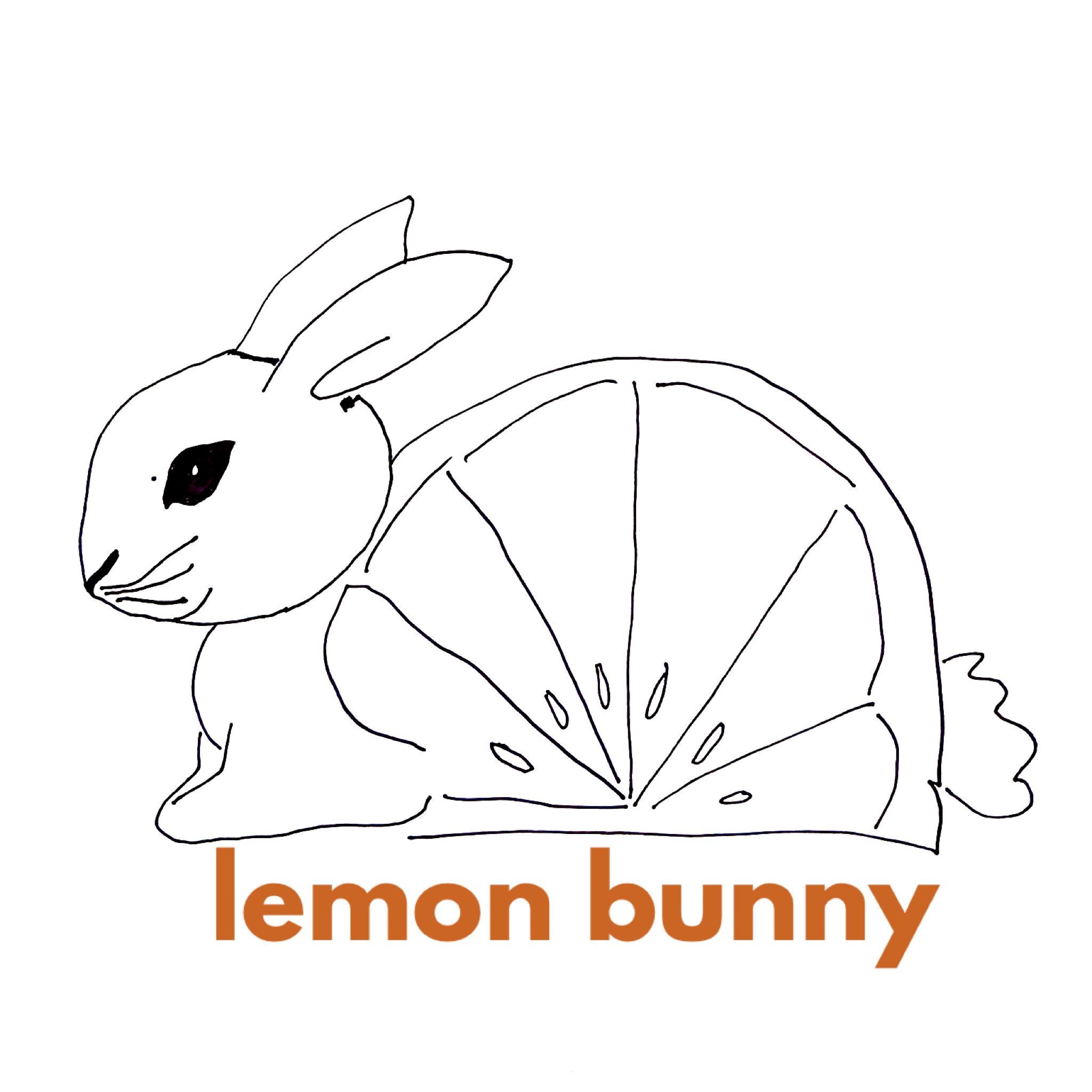 Hermès Collection – lemon bunny